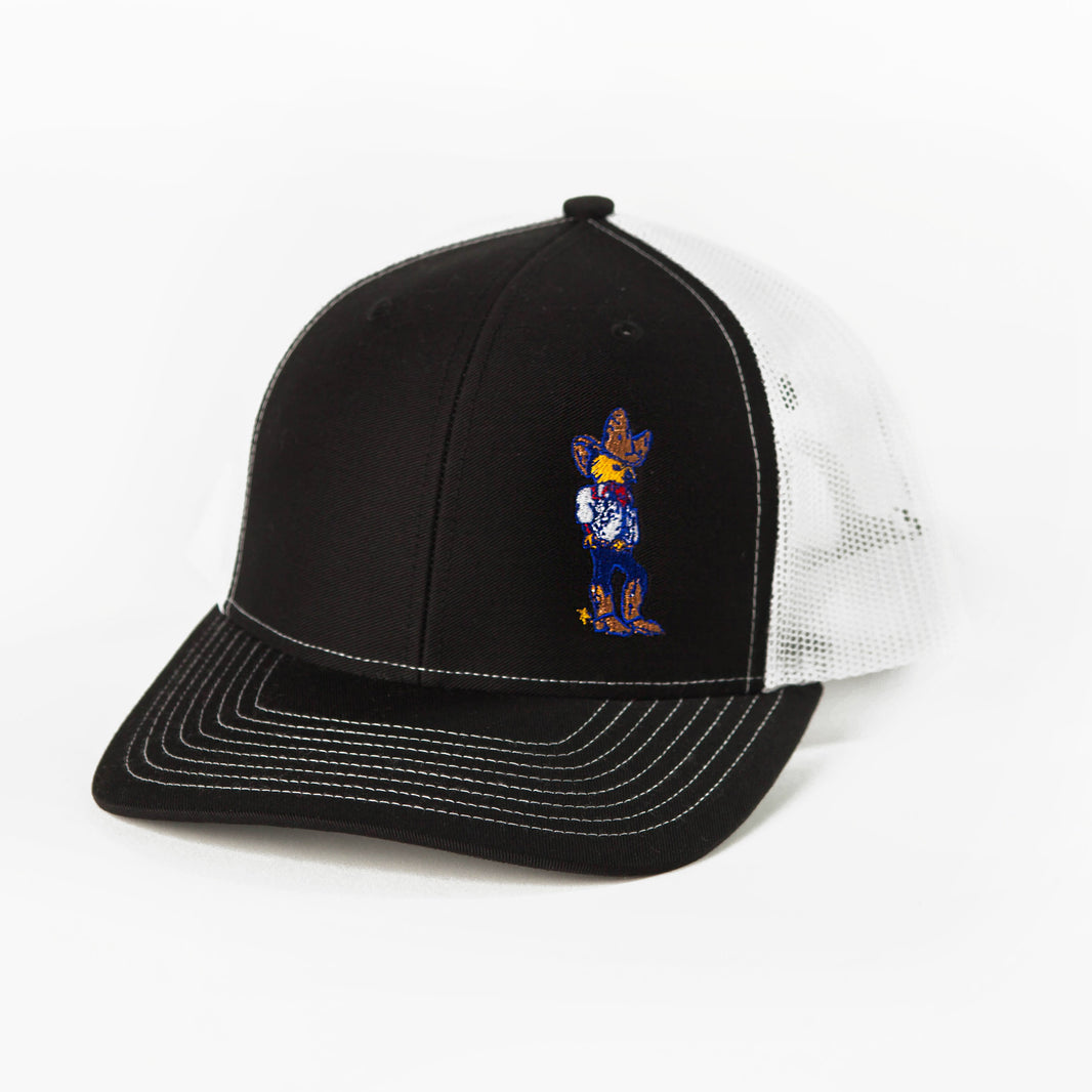 The Dixie Chicken – Page 3 – Bottle Cap Alley Trading